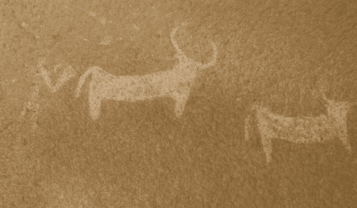 Al-Ardiyat archaeological sites reveal ancient Arabian history